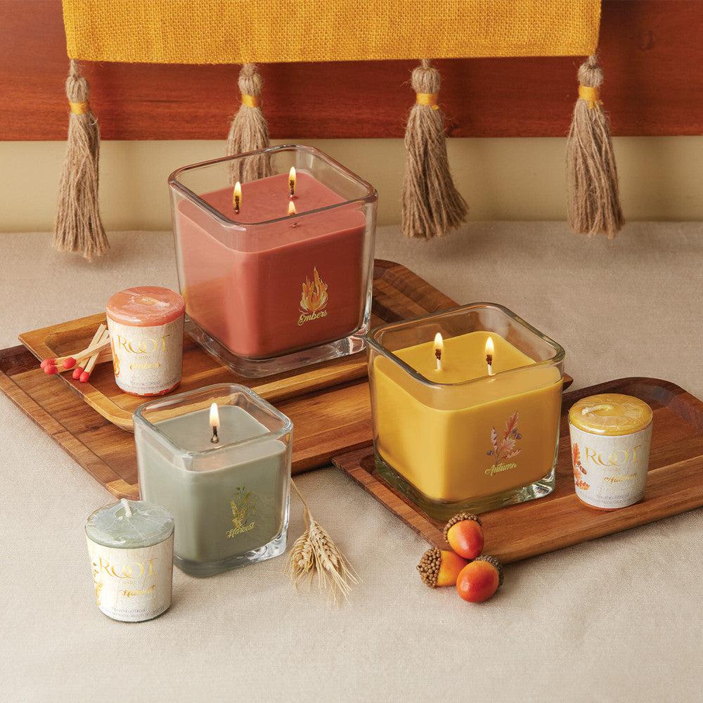 Root Candle Collection – Nature's Treasures