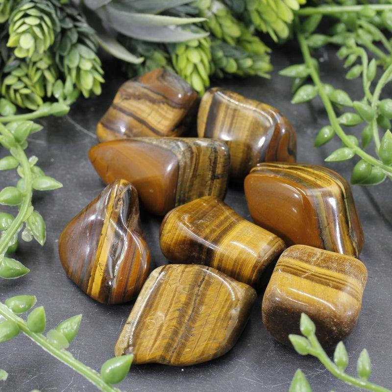 Polished Yellow Tiger's Eye Tumble Stone || Jumbo || Mental Clarity ...